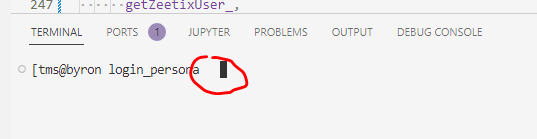 Garbled text in default embedded terminal · Issue #140060 · microsoft/vscode · GitHub
