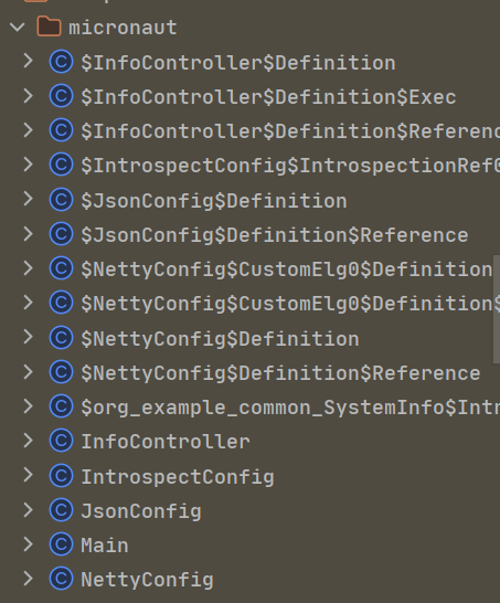 Would not create $xxx$IntrospectionRef0.class when add @SerdeImport into Main class or any one ...