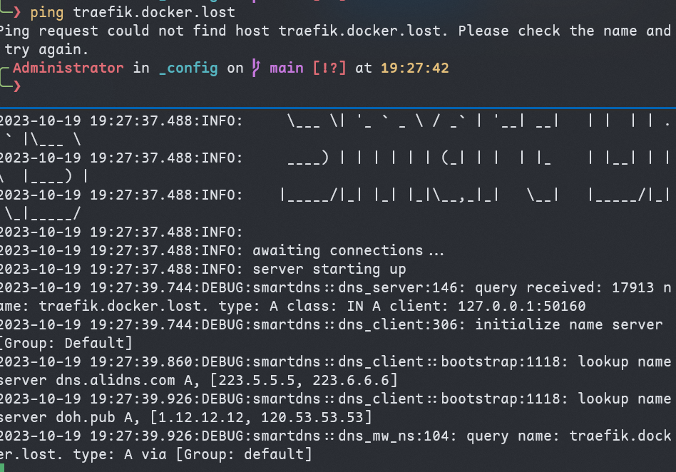 通配符子域名指定ip无效？ · Issue #1527 · pymumu/smartdns · GitHub