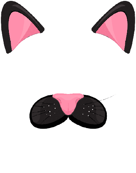 Cat Mask Filter · Issue 602 · Prathimacode Hub Ml Projectkart · Github