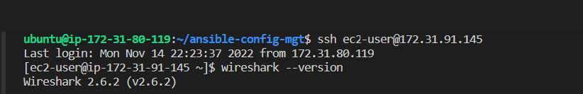 GitHub - Chuks-project/Ansibe-config-mgt-Project-11