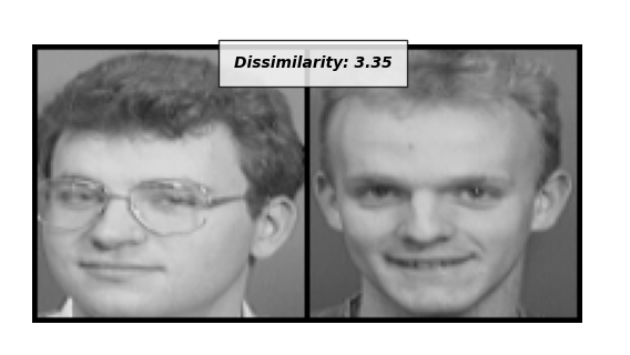 GitHub - dmswl0707/Siamese-Networks