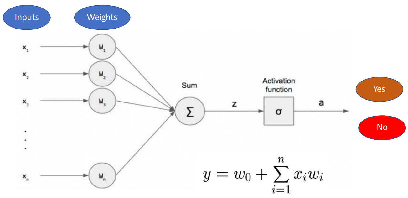 GitHub - TITHI-KHAN/Neural-Networks