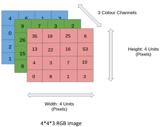 GitHub - TITHI-KHAN/Neural-Networks