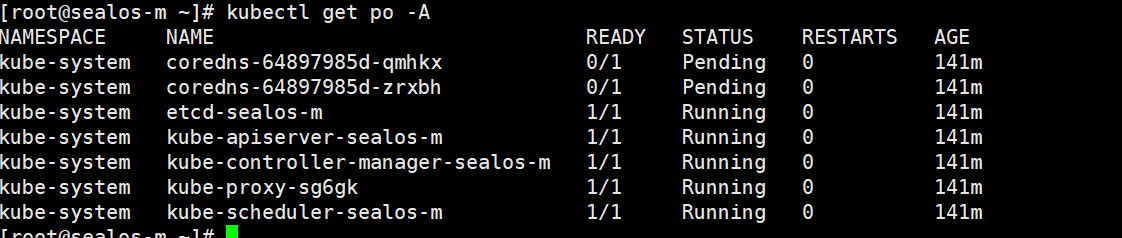 Sealos build自定义镜像运行后没有执行CMD里的命令 · Issue #2917 · labring/sealos · GitHub