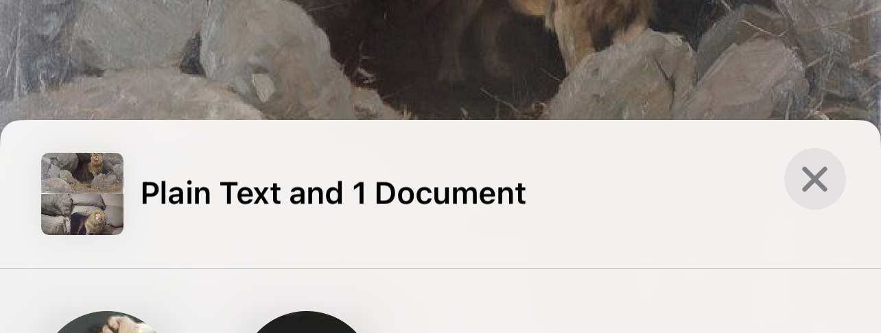 [share_plus ][Bug]: Share text and image on iOS in the same time · Issue #1565 ...