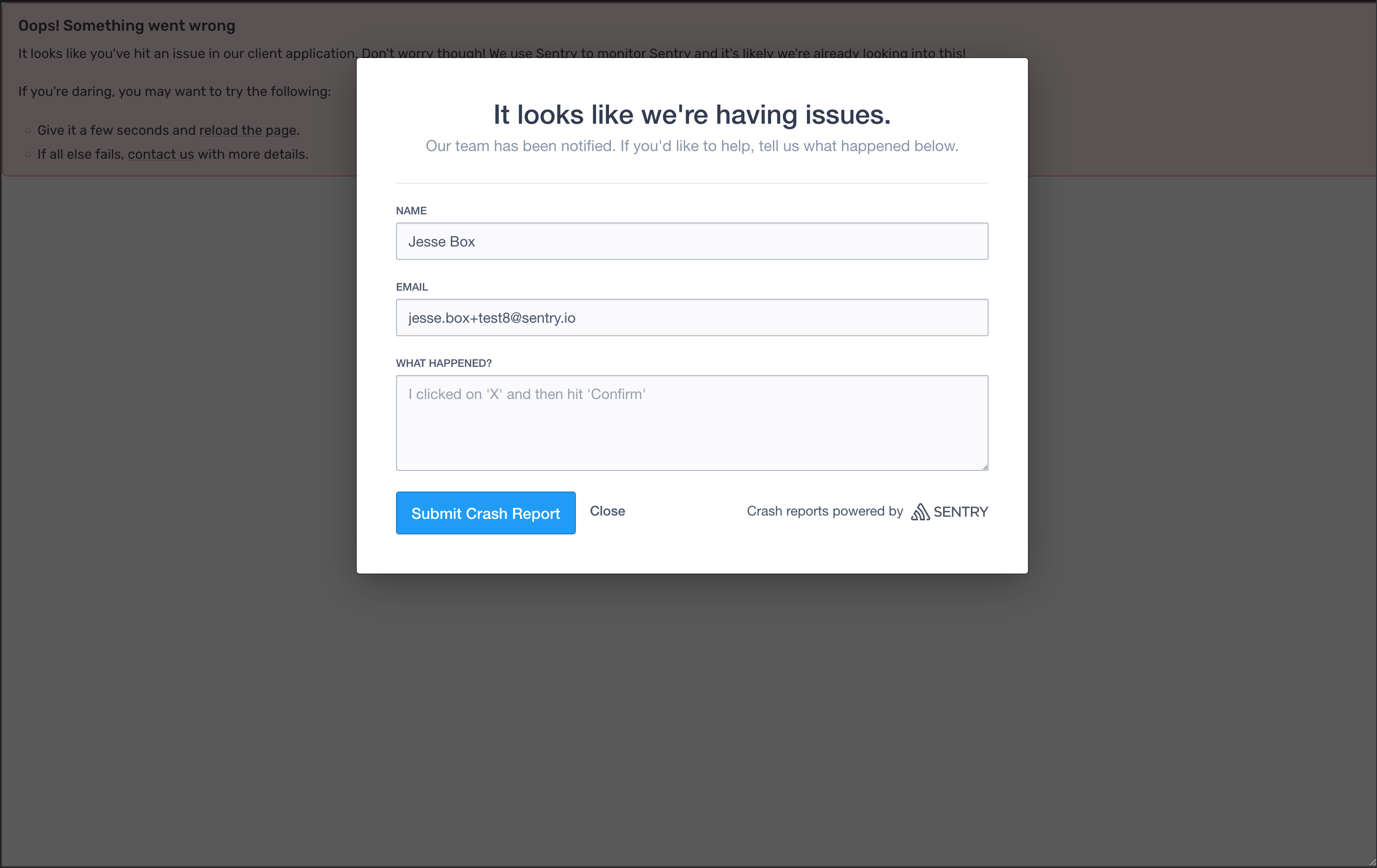 Choosing The Sdks Windows Forms Or Windows Presentation Foundation Crashes Our App · Issue