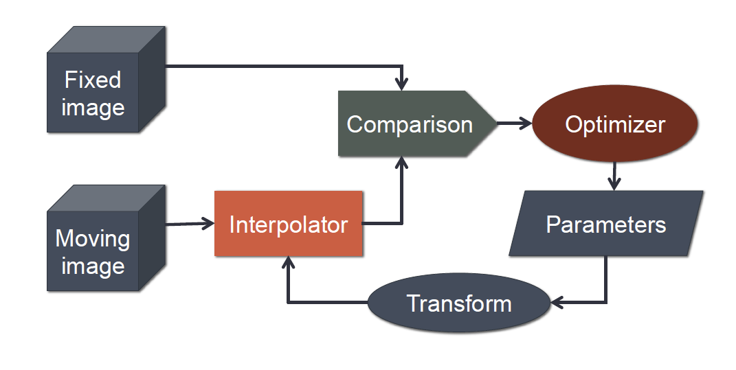 Paper of 3D rigid registration using MI to reference · Issue #1298 ...