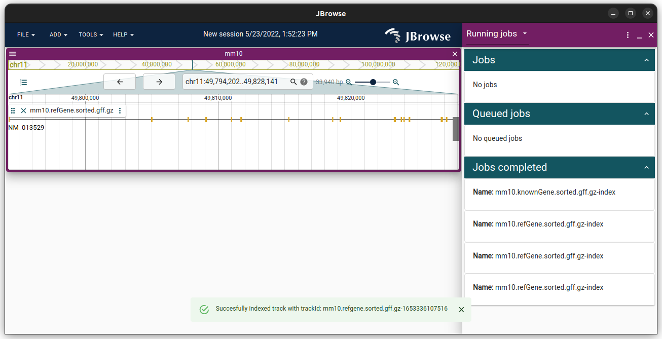 Adding a gene track from UCSC to JBrowse 2 Desktop · GitHub