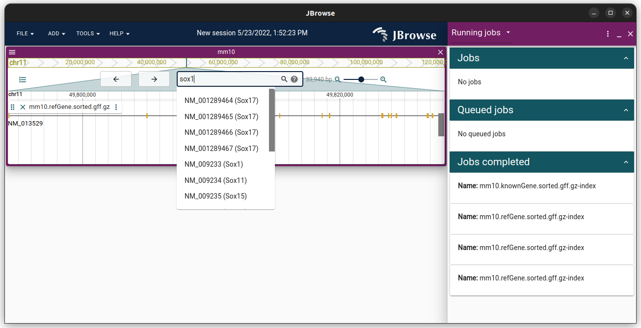 Adding a gene track from UCSC to JBrowse 2 Desktop · GitHub