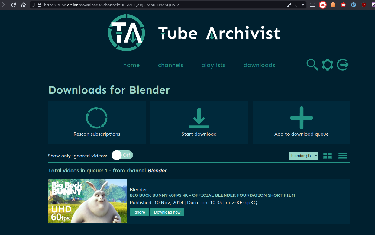 [Bug]: Server Error 500 - on nonexistent channels in download queue · Issue #431 · tubearchivist ...