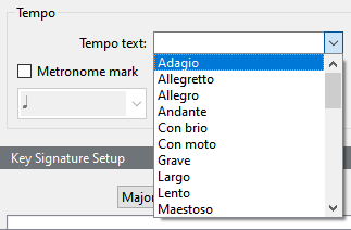 Option to add tempo text in the "additional score information" window ...