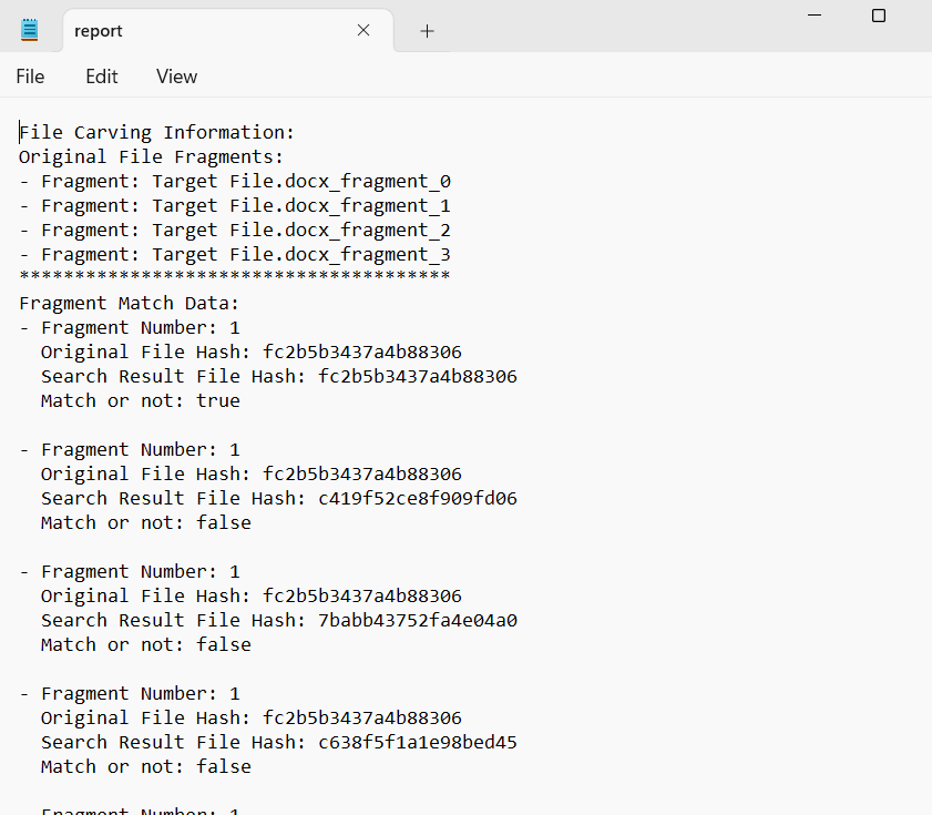 GitHub - sondosaabed/File-Carving-Tool: This project was done as part of the Digital Forensics ...