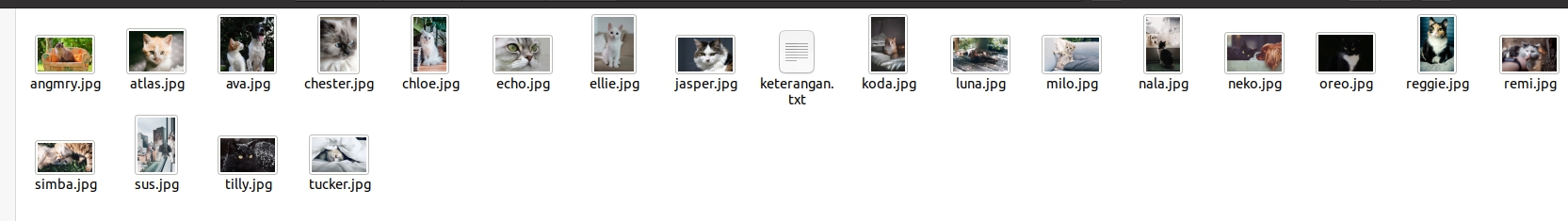 GitHub - sisop-E05-2021/soal-shift-sisop-modul-2-E05-2021