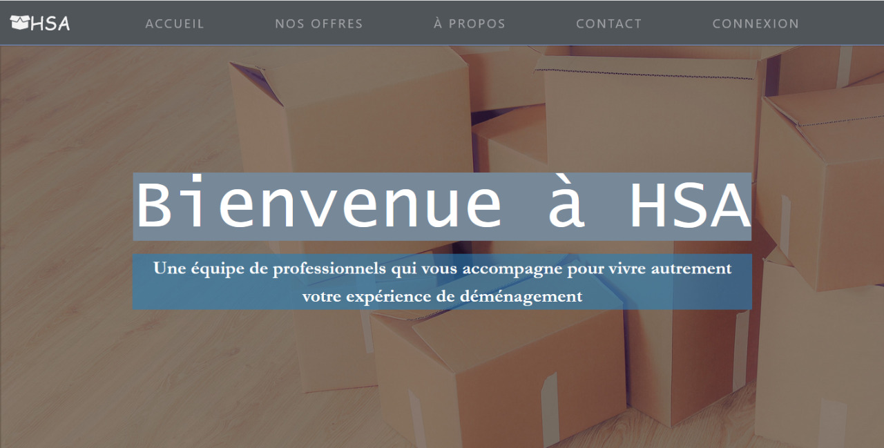 GitHub - chqirsamia/JEE_project