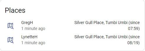 Locale functions not respecting System or Docker's locale · Issue #219 · custom-components ...