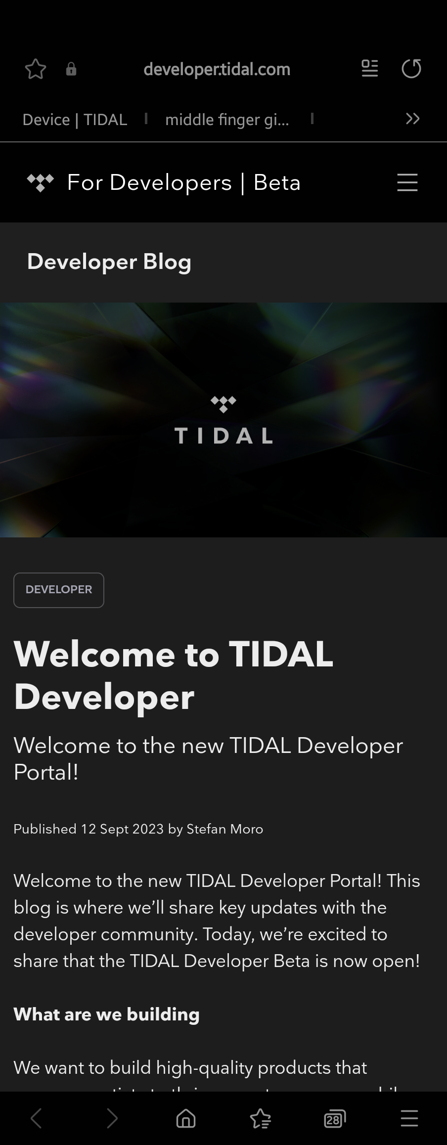 Tidal Development · Issue #1099 · yaronzz/Tidal-Media-Downloader · GitHub