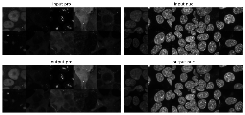 UMap not looking good · Issue #27 · royerlab/cytoself · GitHub