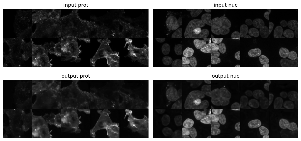 UMap not looking good · Issue #27 · royerlab/cytoself · GitHub