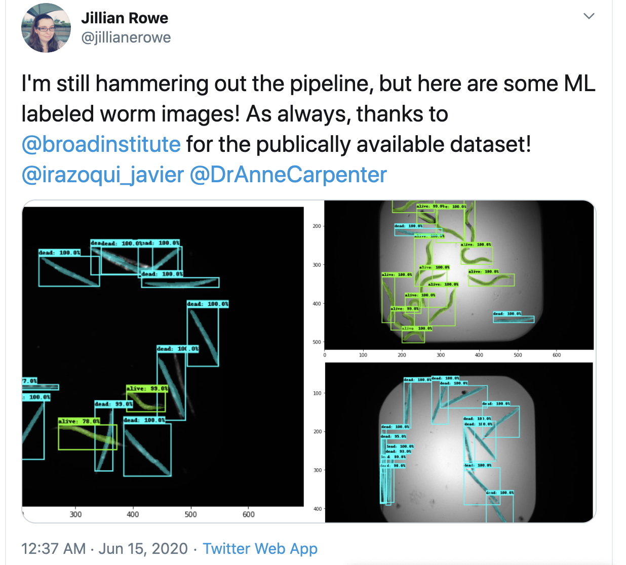 Annotations for shape layers · Issue #177 · napari/napari · GitHub