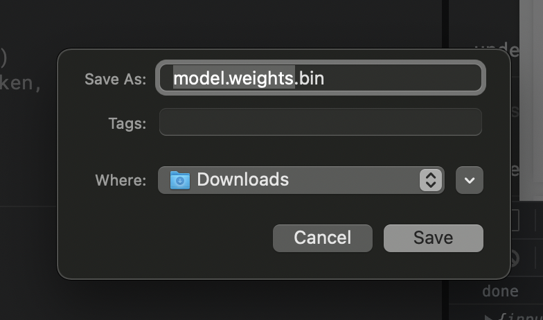 Saving a neural network model only saves the model.weights.bin file. No ...
