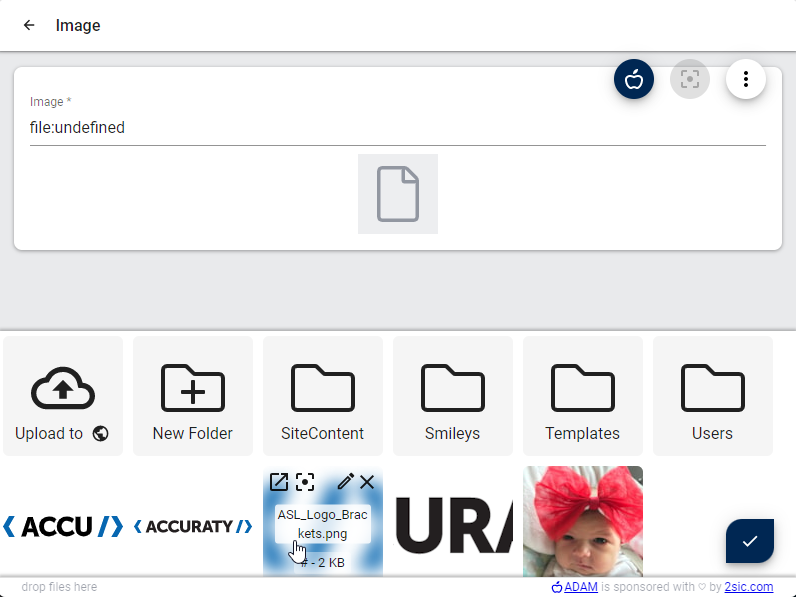 Using the image file manager (not Adam) returns an undefined image. · Issue #2902 · 2sic/2sxc ...