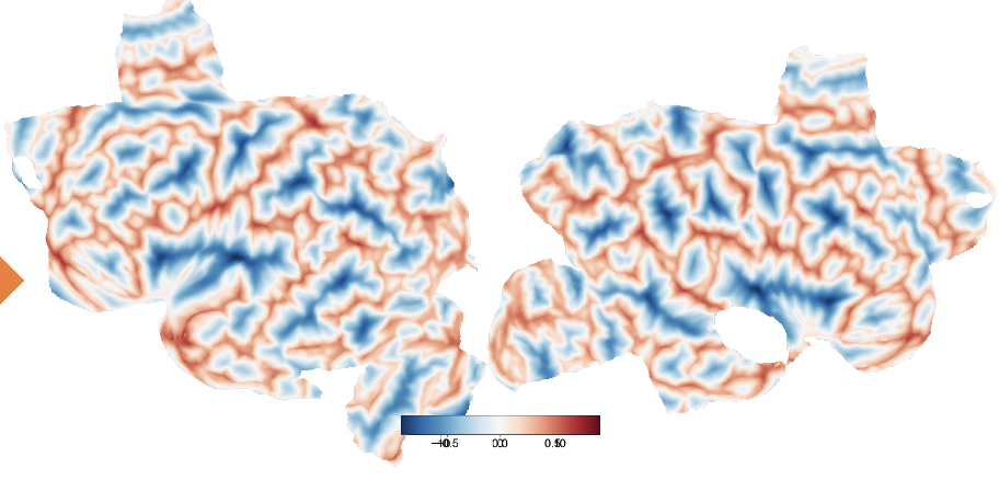 The brain is NOT properly flattened · Issue #419 · gallantlab/pycortex · GitHub