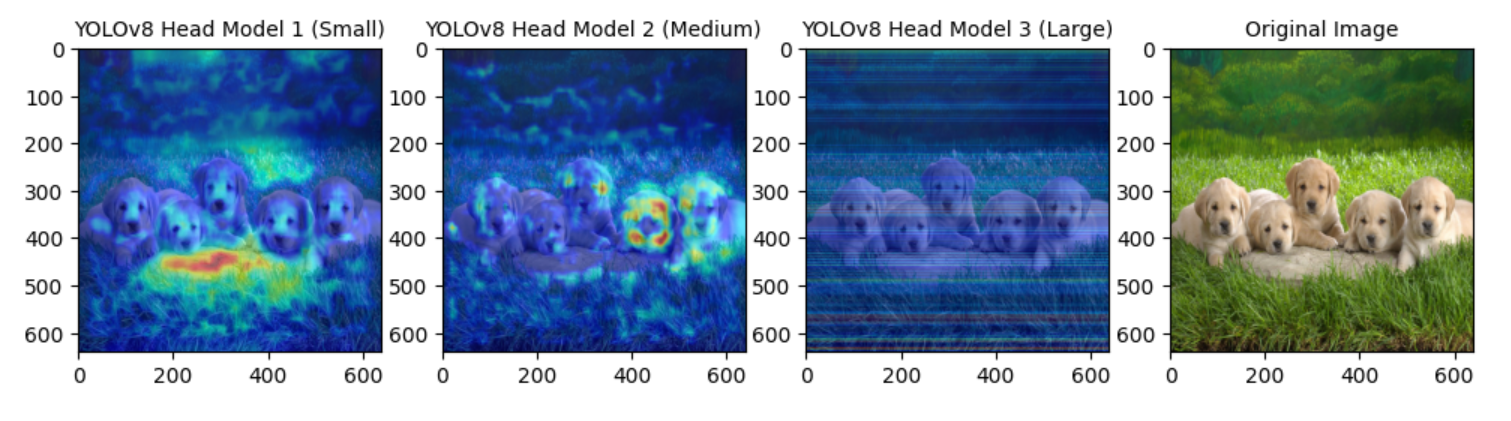 How to access the heads of YOLOv8 model? · Issue #3759 · ultralytics ...
