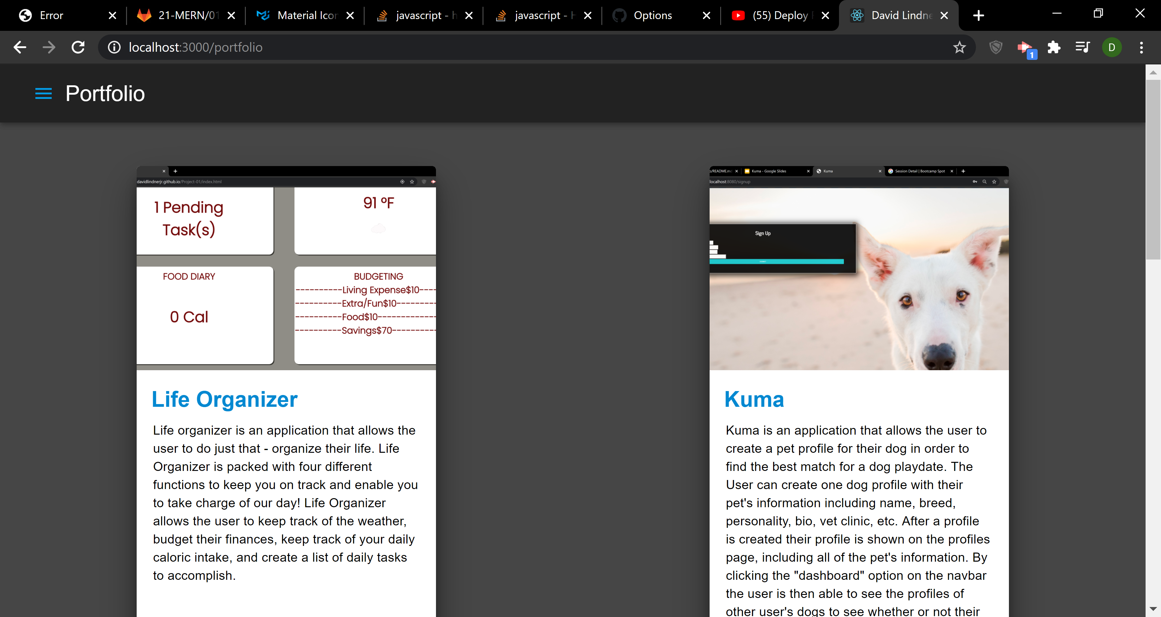 GitHub - davidlindnerjr/davidlindner-portfolio