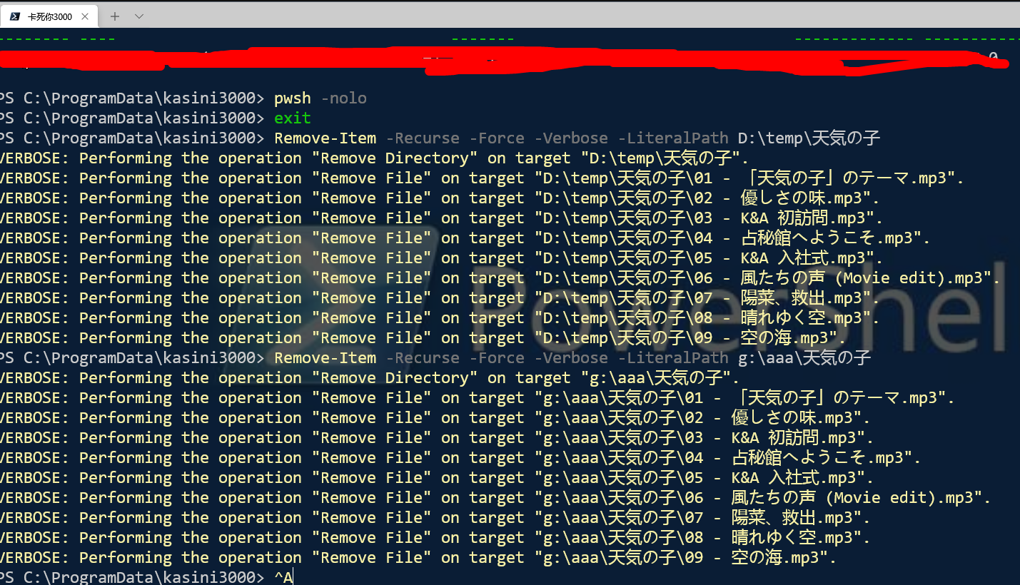 Remove-Item fails on FAT32 drive when encountering some Unicode ...