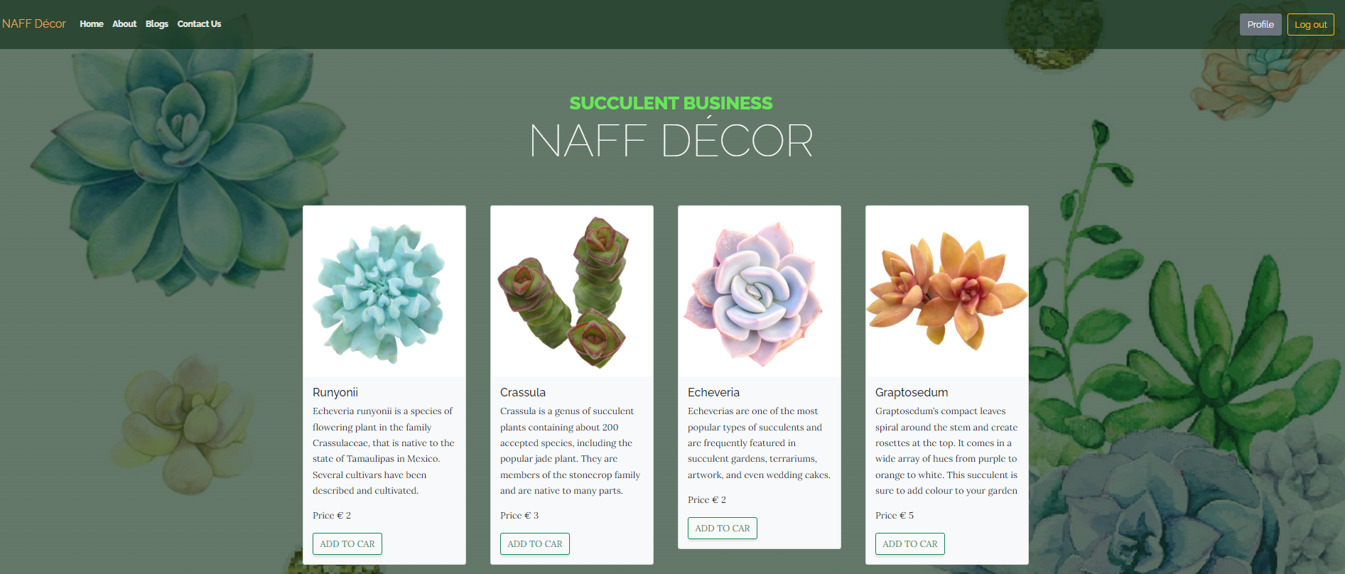 GitHub - nafnu/succulentShop