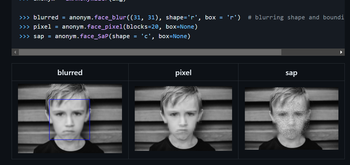 Investigate Other Redaction Libraries · Issue #330 · OpenAdaptAI/OpenAdapt · GitHub