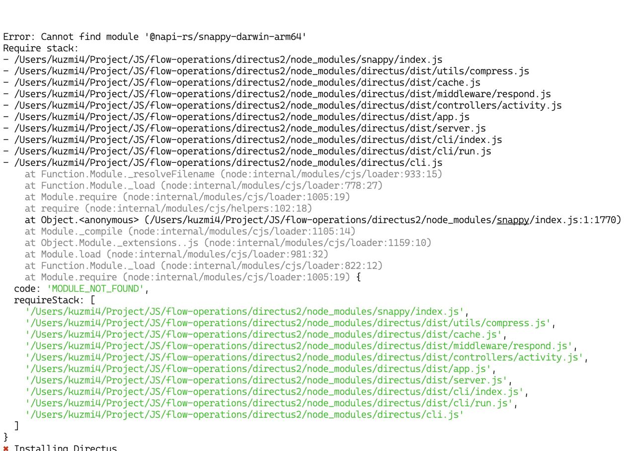 Install via npm failed (Win/MacOS/Linux) · Issue #2 · directus/create-directus-project · GitHub
