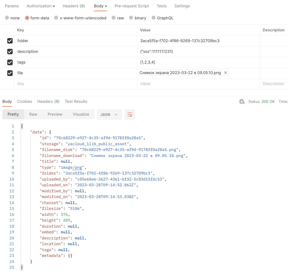 Broken uploading image with some additional file fields · Issue #17970 · directus/directus · GitHub