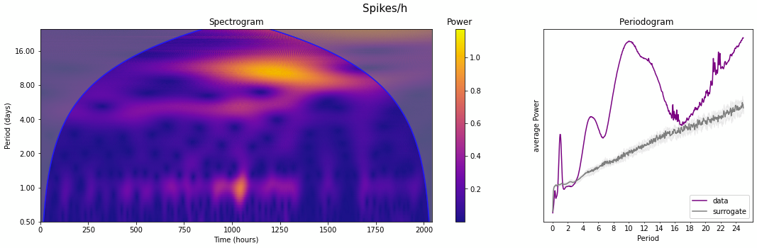 GitHub - DomiDhillon/BioRhythms: Bio-signals Timeseries analysis