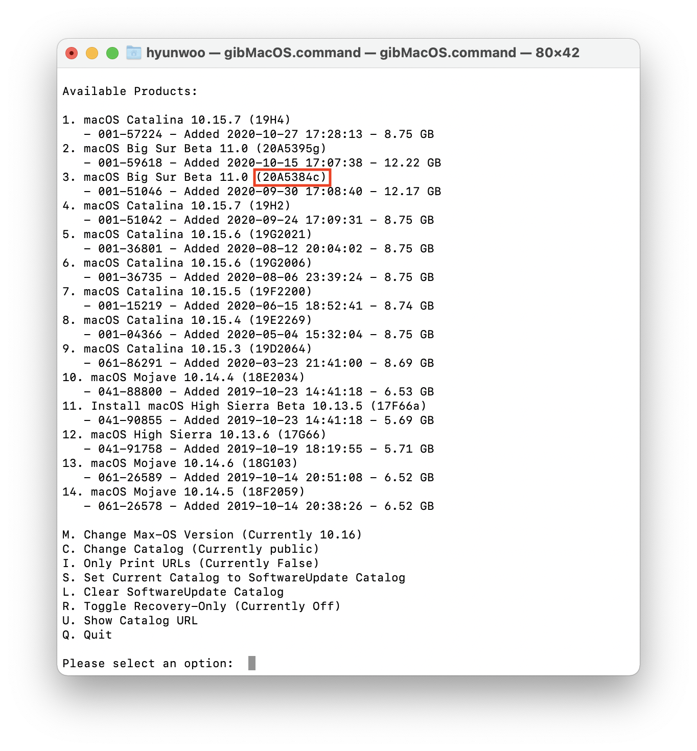 How to download specific Big Sur Beta? · Issue #182 · corpnewt/gibMacOS · GitHub