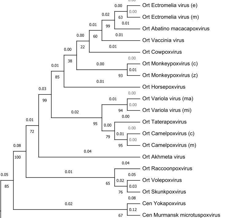 How to set branch.length="none", as the same time branch length show on the branch · Issue #436 ...