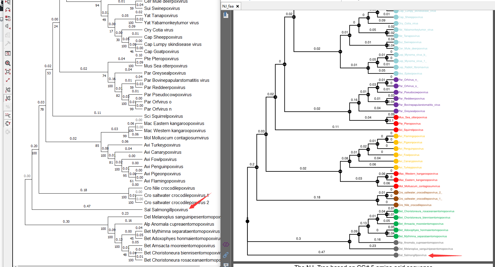 ggtree different with megaX · Issue #438 · YuLab-SMU/ggtree · GitHub