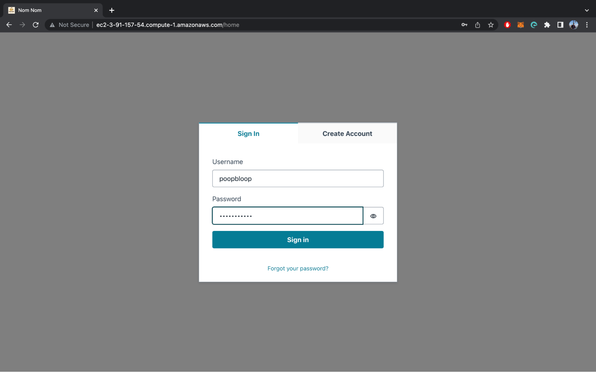 GitHub - tan-zhuoyao/NomNom