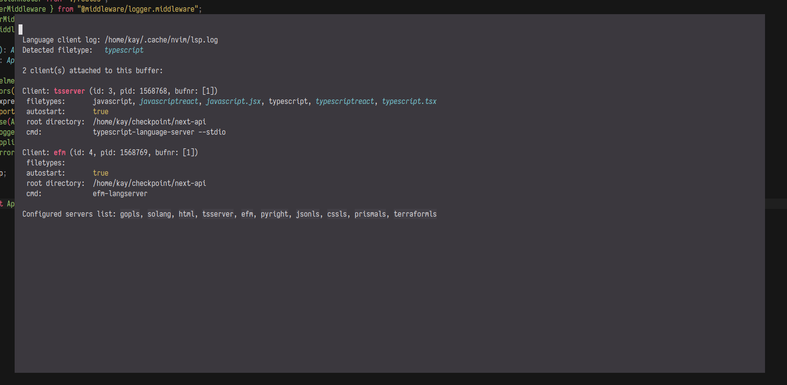 Mapped keys not attaching with efm-langserver · Issue #1876 · neovim/nvim-lspconfig · GitHub