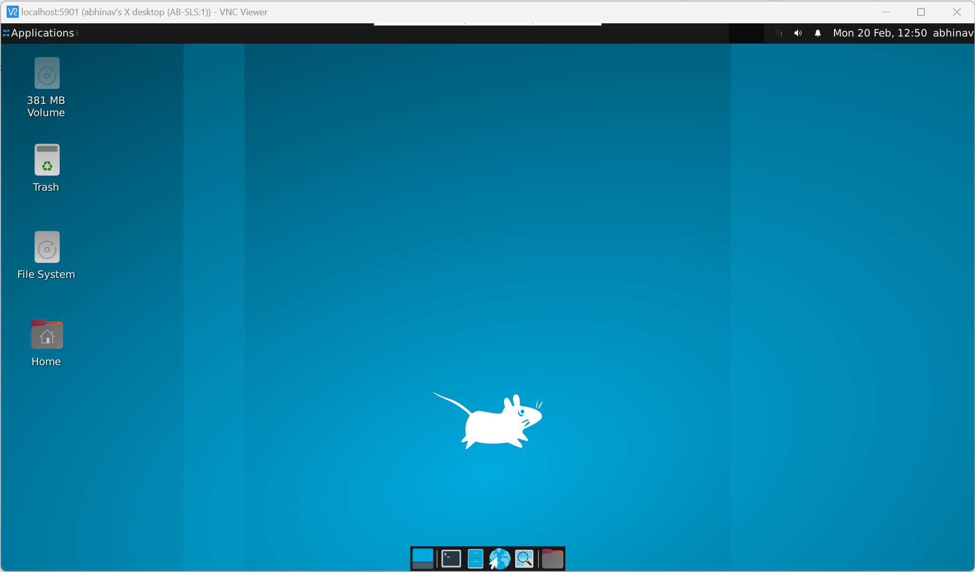 A tutorial to use GUI in WSL2 replacing original XServer by Xvnc ...