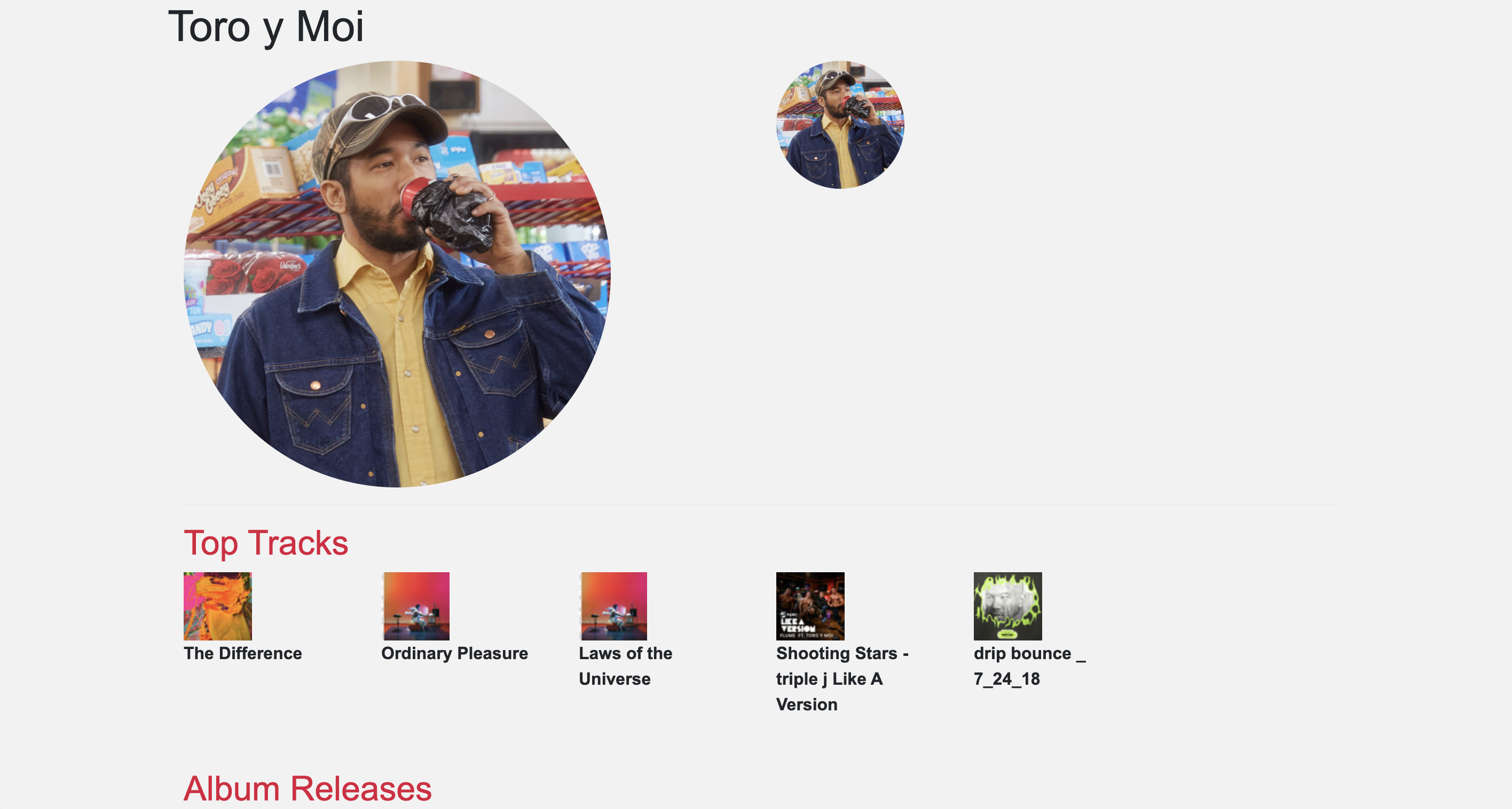 GitHub - Kudzmat/VinylYard