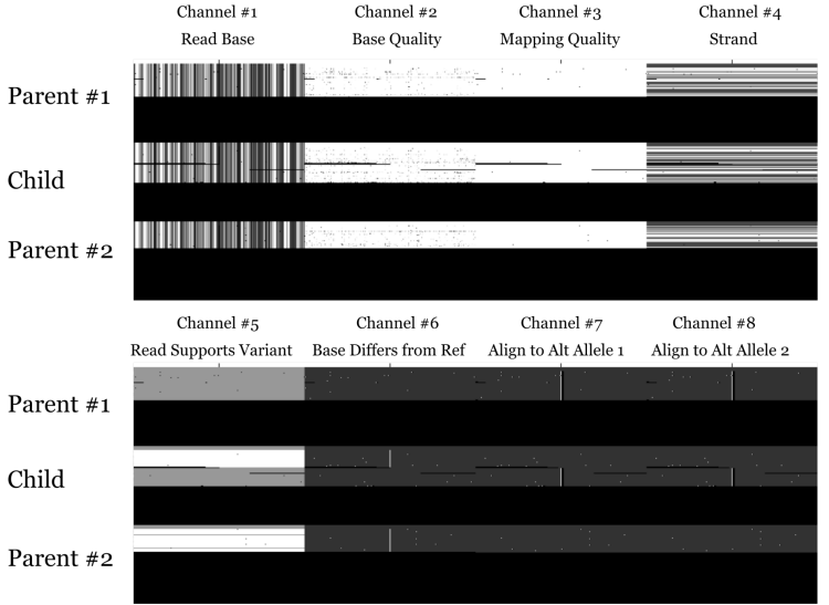 Question on trio analysis using DeepVariant and Deeptrio · Issue #704 · google/deepvariant · GitHub