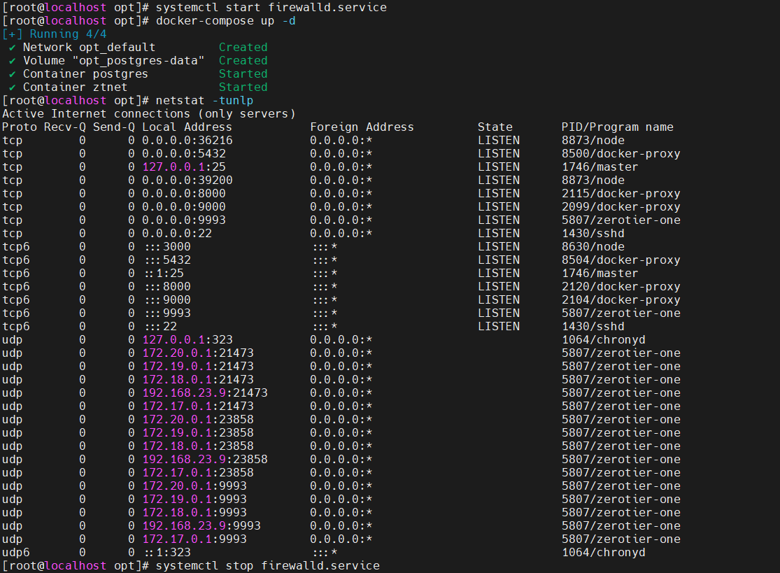 [Support]: If using zerotier on the host, how should Docker Compose.yml be configured? · Issue ...