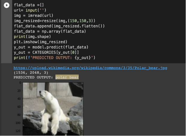 GitHub - mukhlisgit/Bear-Classification-Deep-learning-model: This is a ...