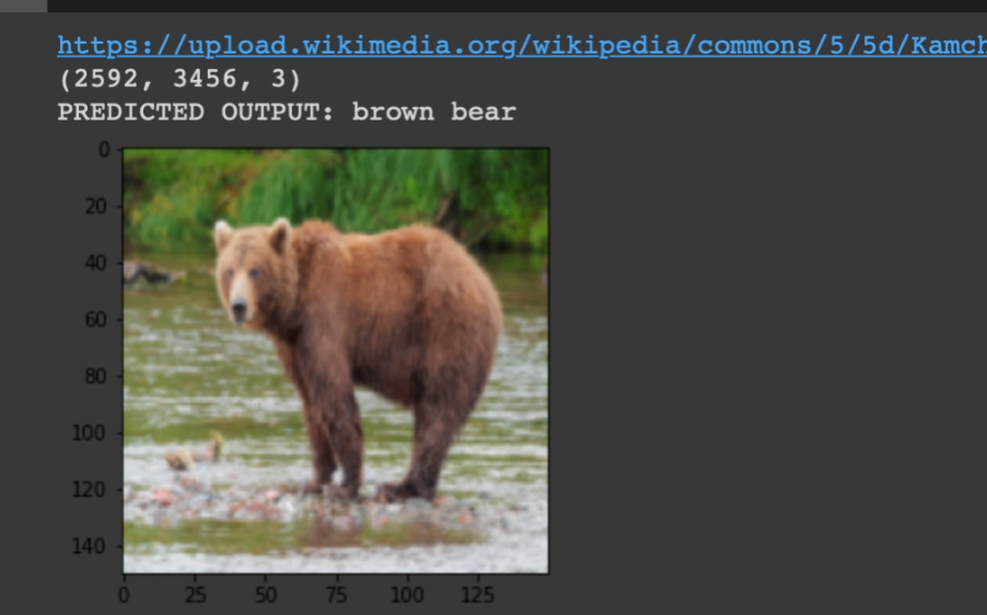 GitHub - mukhlisgit/Bear-Classification-Deep-learning-model: This is a deep learning program ...