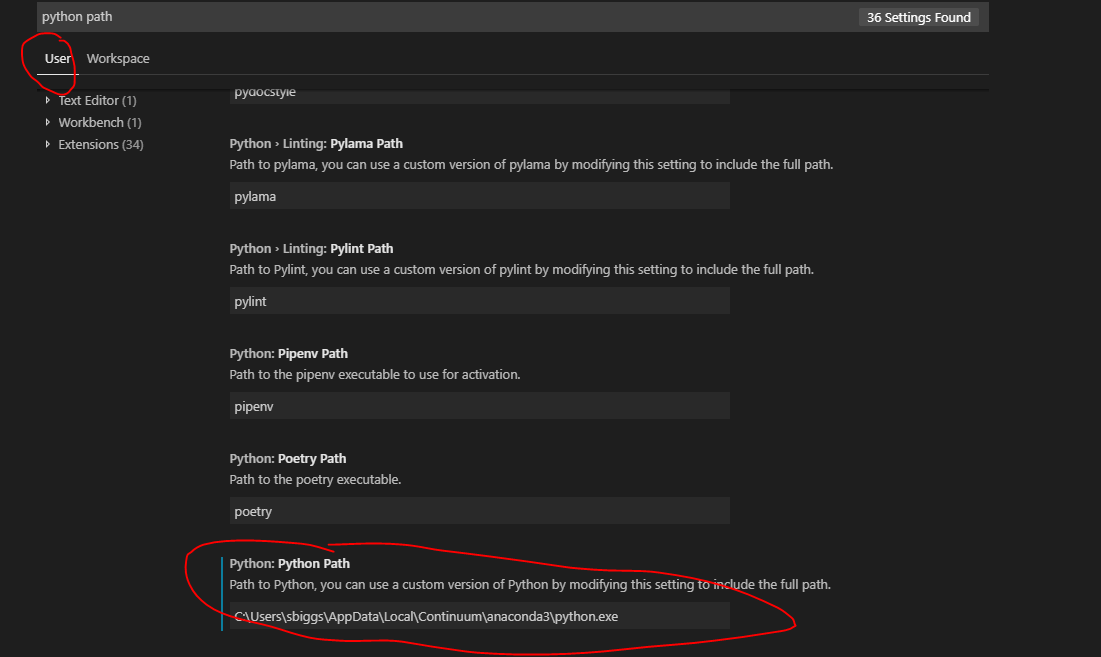 VSCode environment fix · Issue #311 · pymedphys/pymedphys · GitHub