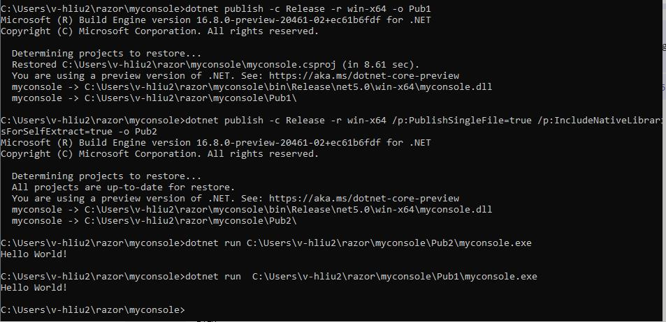 With Net5 Preview7 Running A Single File App Failed If The App Is Not Published To A Single 3011
