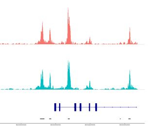 Are tile plots made from normalized fragment counts? · Issue #368 ...