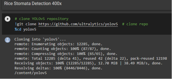 GitHub - aelhabti/Rapid-method-for-stomata-phenotyping